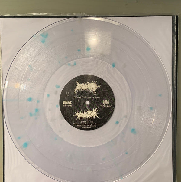 Blood Spore / Coagulate / Soul Devourment / Gutvoid - 4 Dimensions Of ...