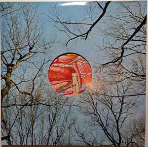 They Might Be Giants - Glean - New LP Record 2022 Idlewild Clear Red W ...