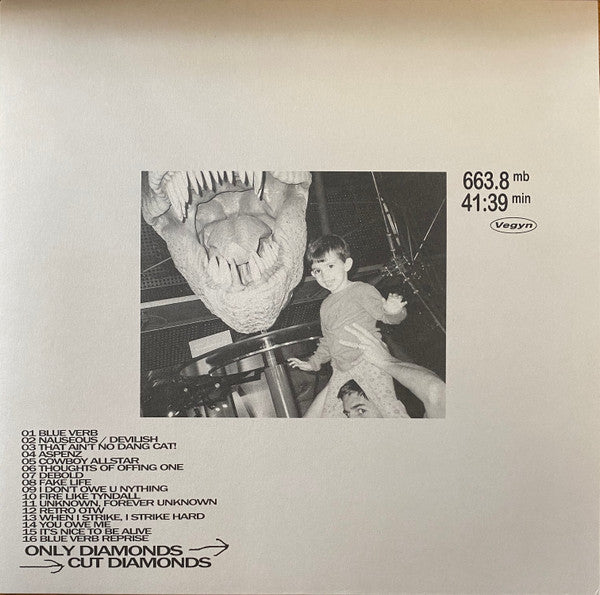 Vegyn - Only Diamonds Cut Diamonds - New 2 LP Record 2024 PLZ Make It ...