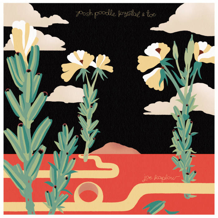 Joe Kaplow - Posh Poodle Krystal And Toe - New LP Record 2024 Missing ...