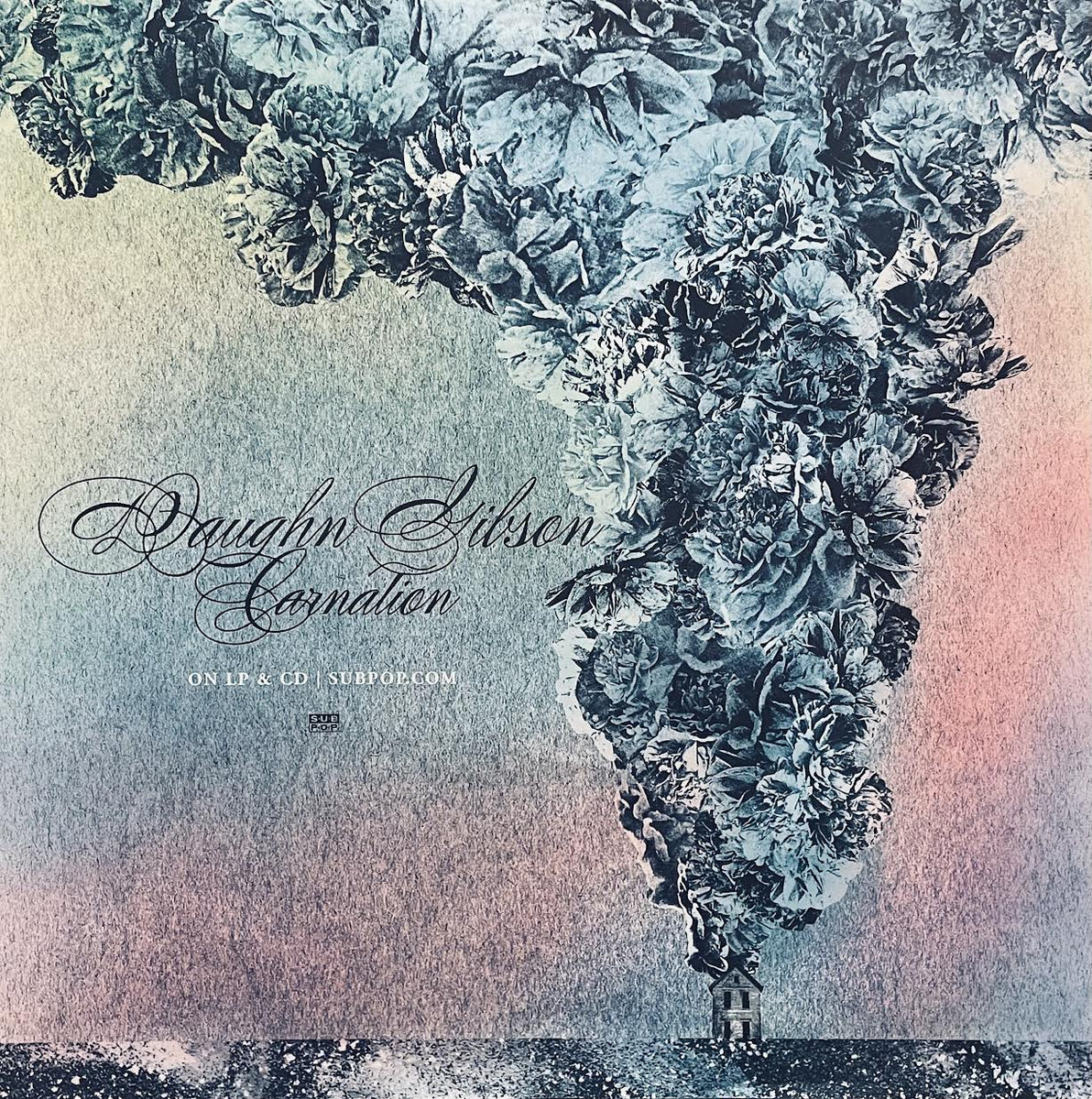 Daughn Gibson - Carnation - 21" x 21" Promo Poster p0387– Shuga Records