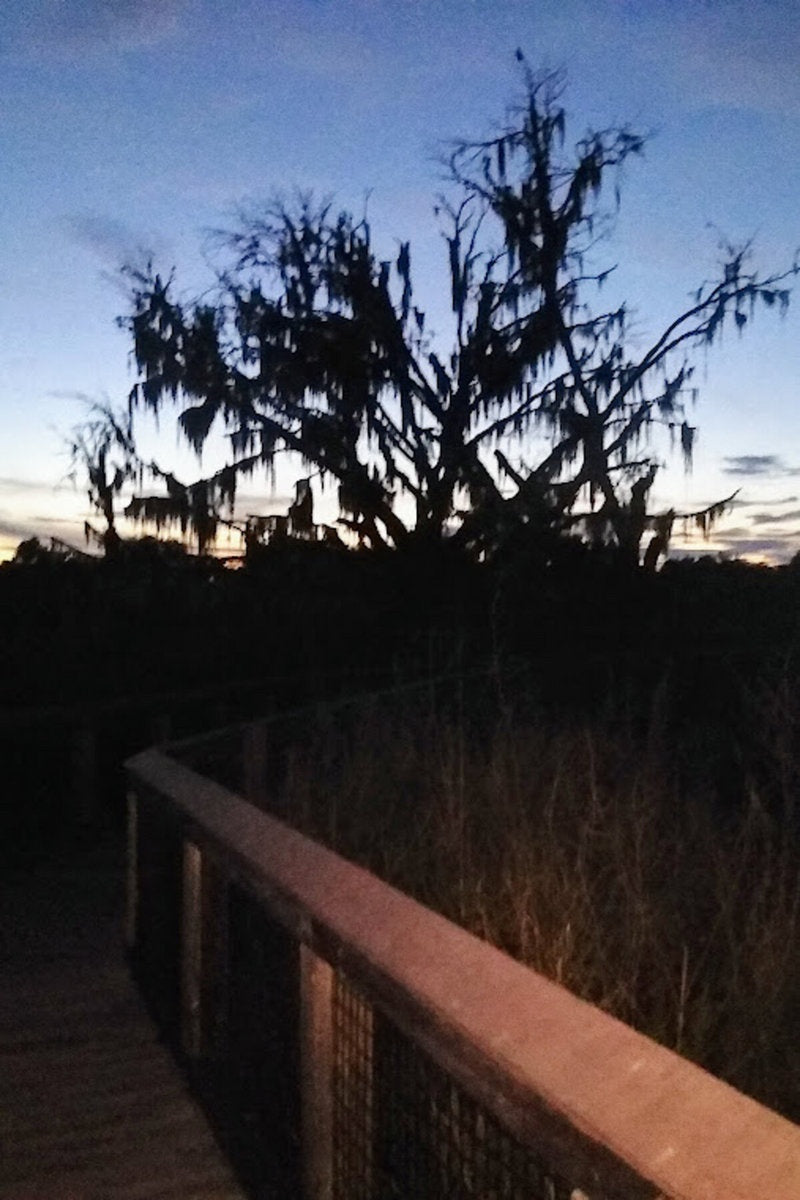 Rotten Milk & The Healing Center - New Cassette 2022 Tape - Electronic ...