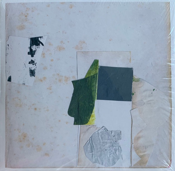 Claire Rousay – Everything Perfect Is Already Here - New LP Record 202 ...